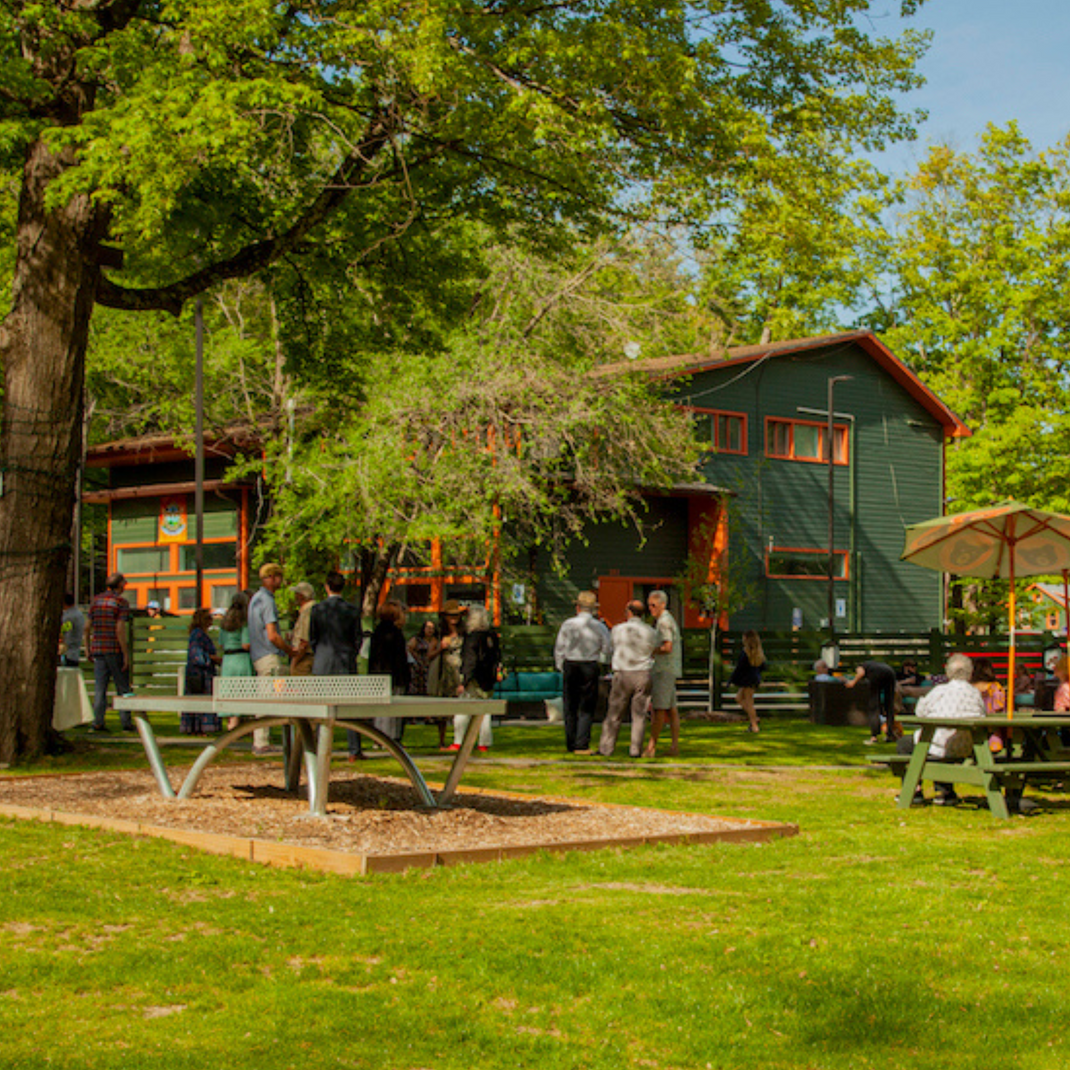 Visit Bearsville: Where Woodstock Music Legends Made History ...